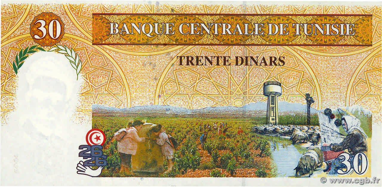30 Dinars TUNISIE 1997 P.89 b02_1378 Billets