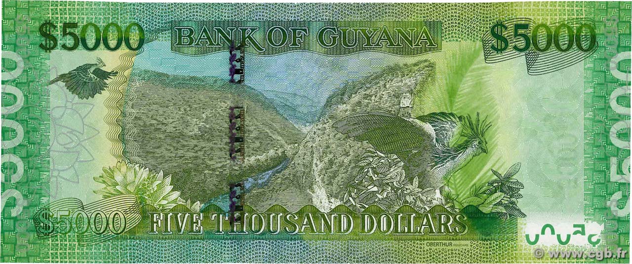 5000 Dollars GUYANA 2013 P.40 b91_2021 Billets