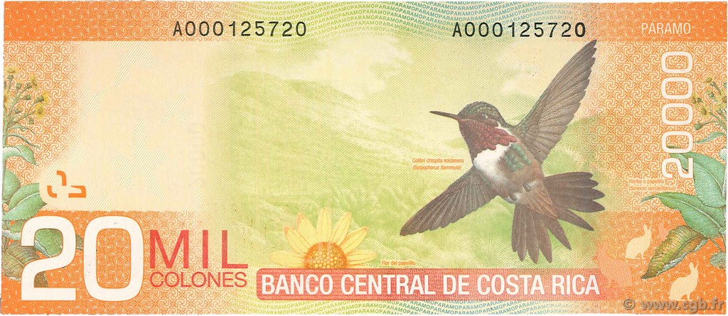 20000 Colones COSTA RICA 2009 P.278a b97_1573 Billetes