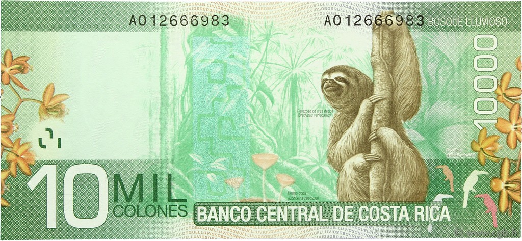 10000 Colones COSTA RICA 2009 P.277 b97_2096 Banknotes