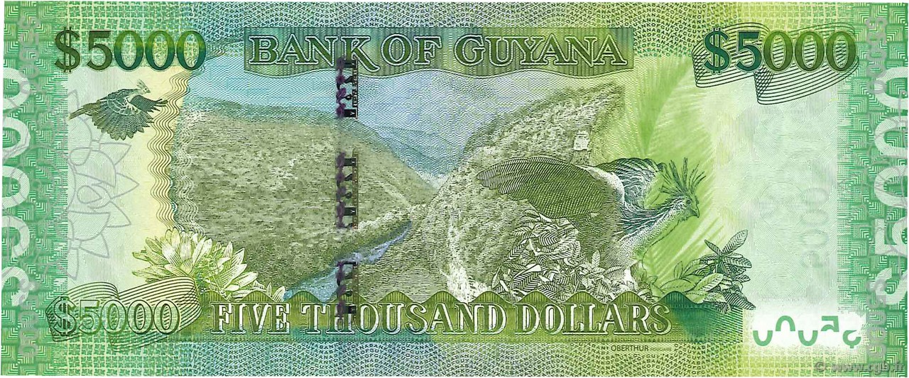 5000 Dollars GUYANA 2013 P.40 b97_2853 Billets