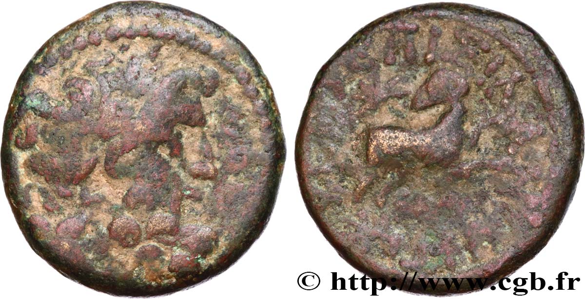 SYRIE - SÉLEUCIE ET PIÉRIE - ANTIOCHE - AUGUSTE Bronze bpv_460332 ...