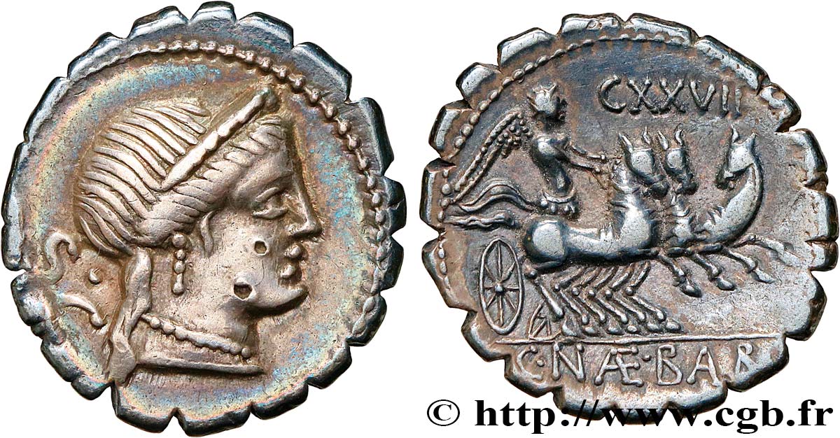 NAEVIA Denier serratus brm_643856 Romaines